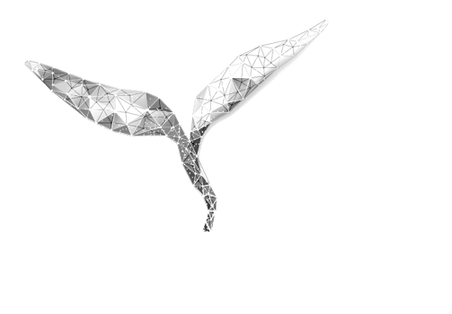 Aays | Your AI & Analytics Solutions Partner